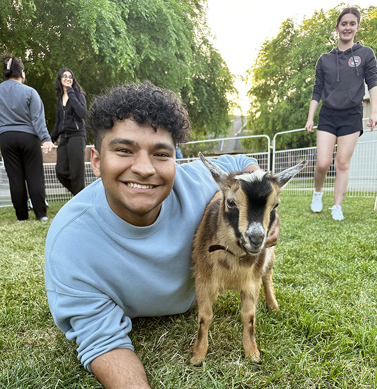Pacific students try goat yoga to relax before finals - People of Pacific