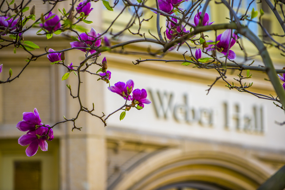 Center for Business and Policy Research Custom Studies | UOP