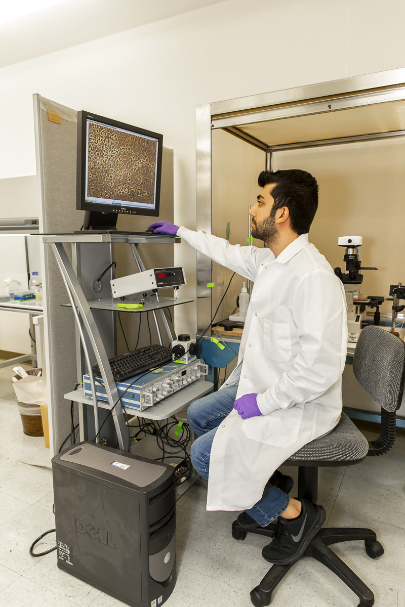 Bachelor of Arts in Applied Science | University of the Pacific