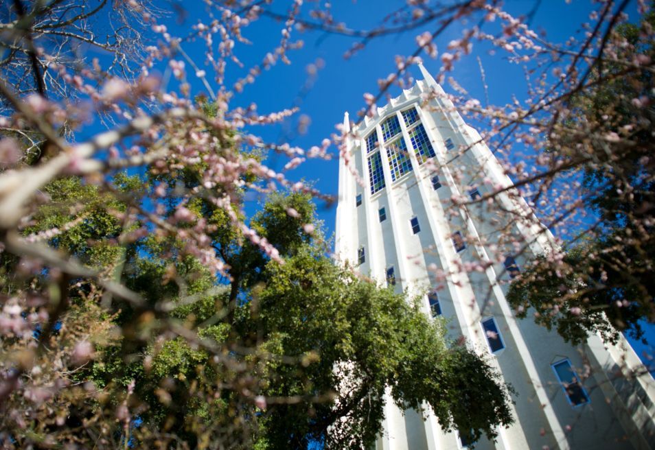 Transit and Paratransit Management Certificate Program | UOP