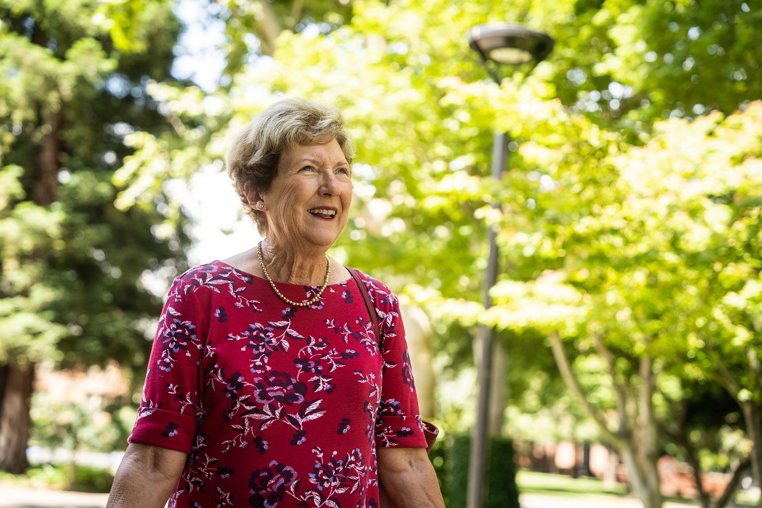 Pacific Loyal celebrates sustained generosity and impact