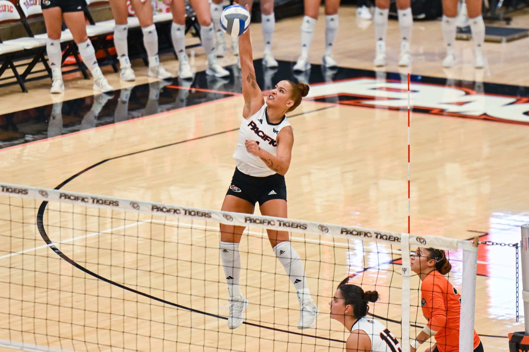 Volleyball’s Alexa Edwards recipient of CalHOPE Courage Award