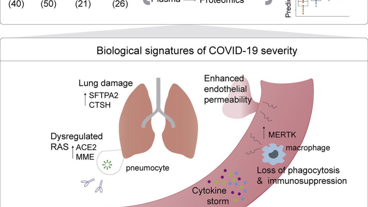 Integrated plasma proteomic and single-cell immune signaling network ...