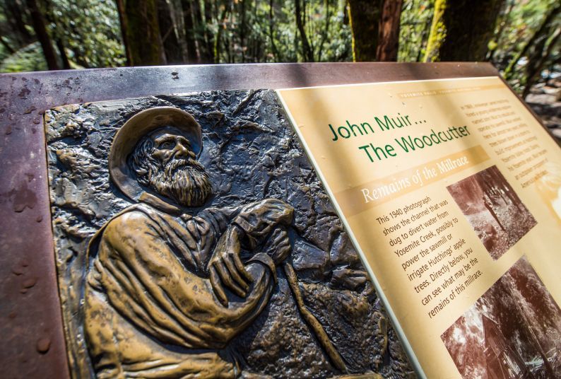 John Muir Collections at Pacific | University of the Pacific