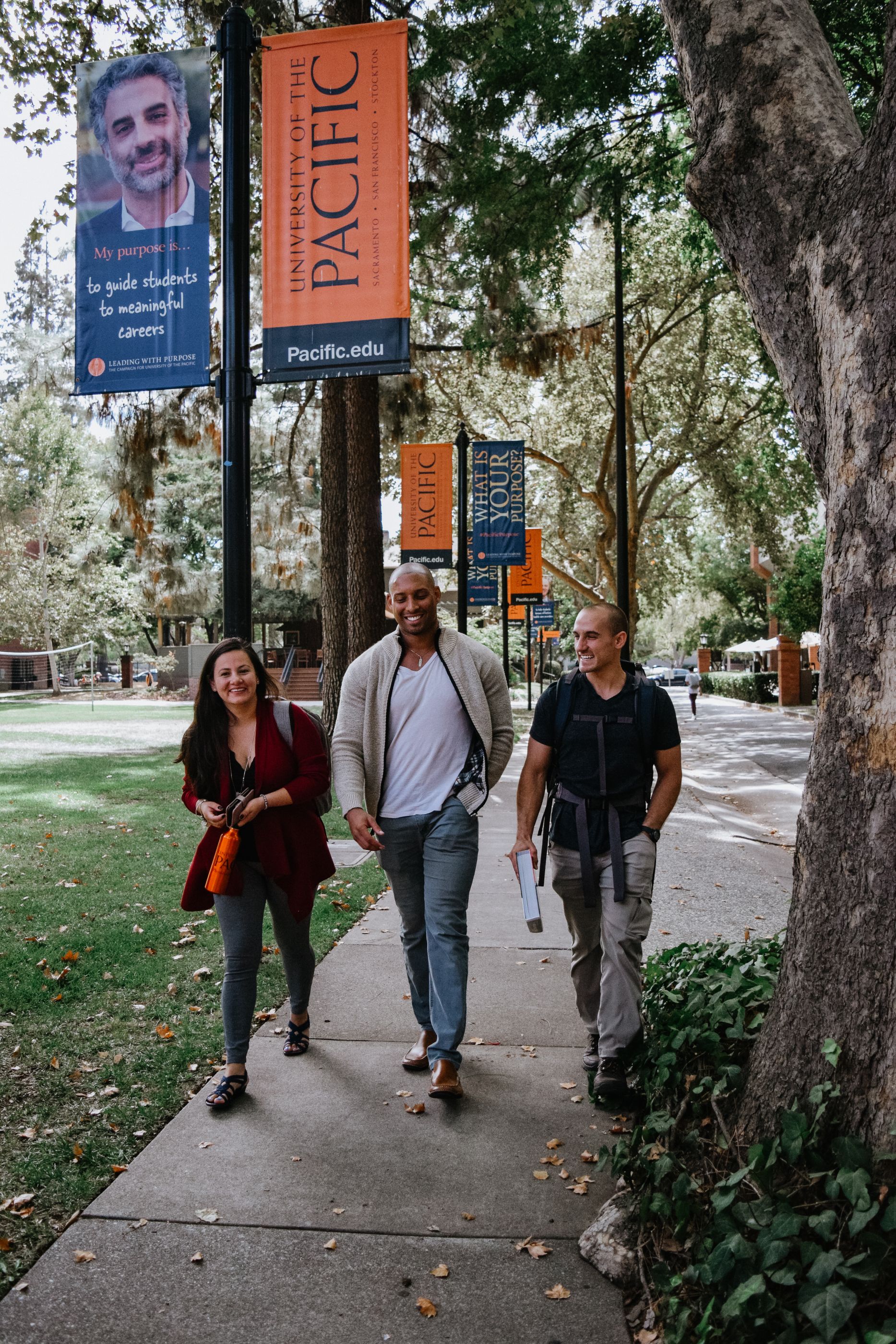 Physician Assistant Program Accreditation | Pacific